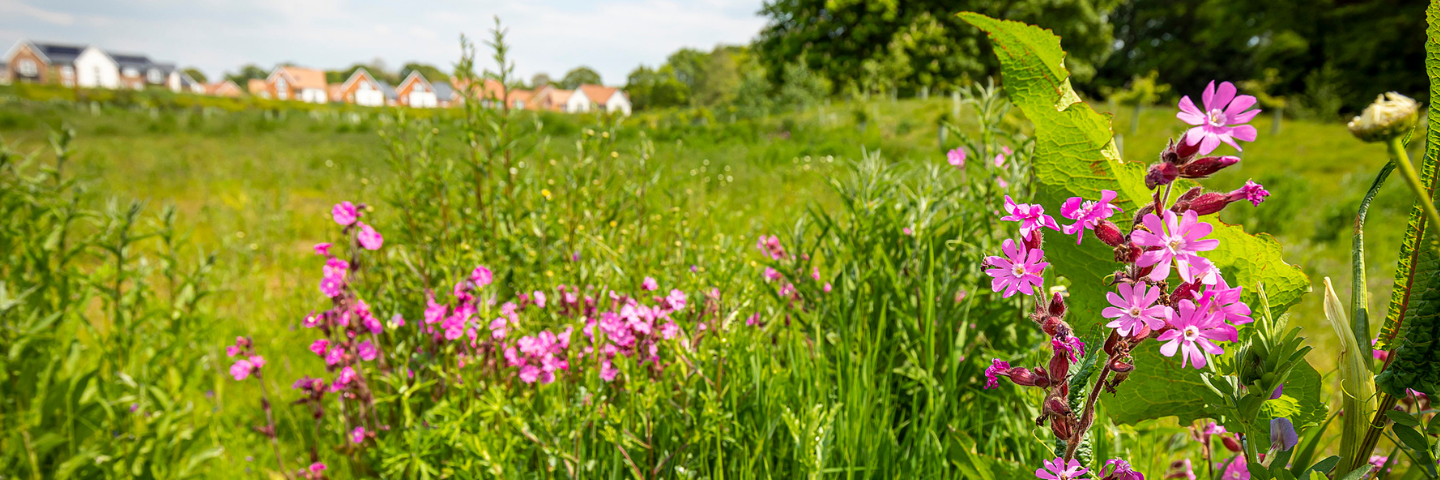 Project: Proposed Residential Parking Scheme (Amendment 4) | Wokingham ...