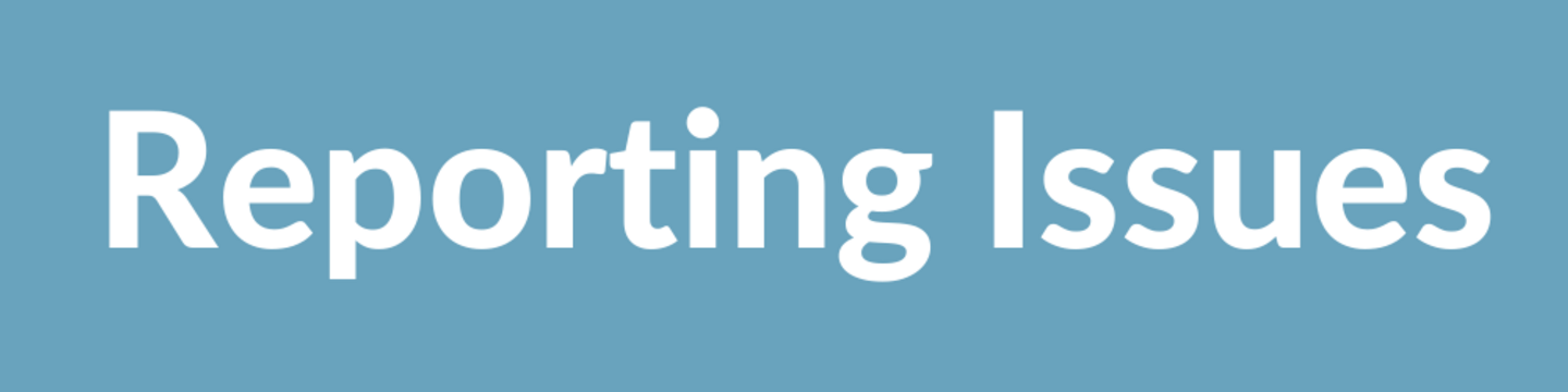 Project: Reporting Issues | Wokingham Borough Council